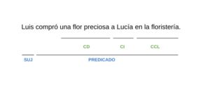 Los complementos del verbo con ejemplos